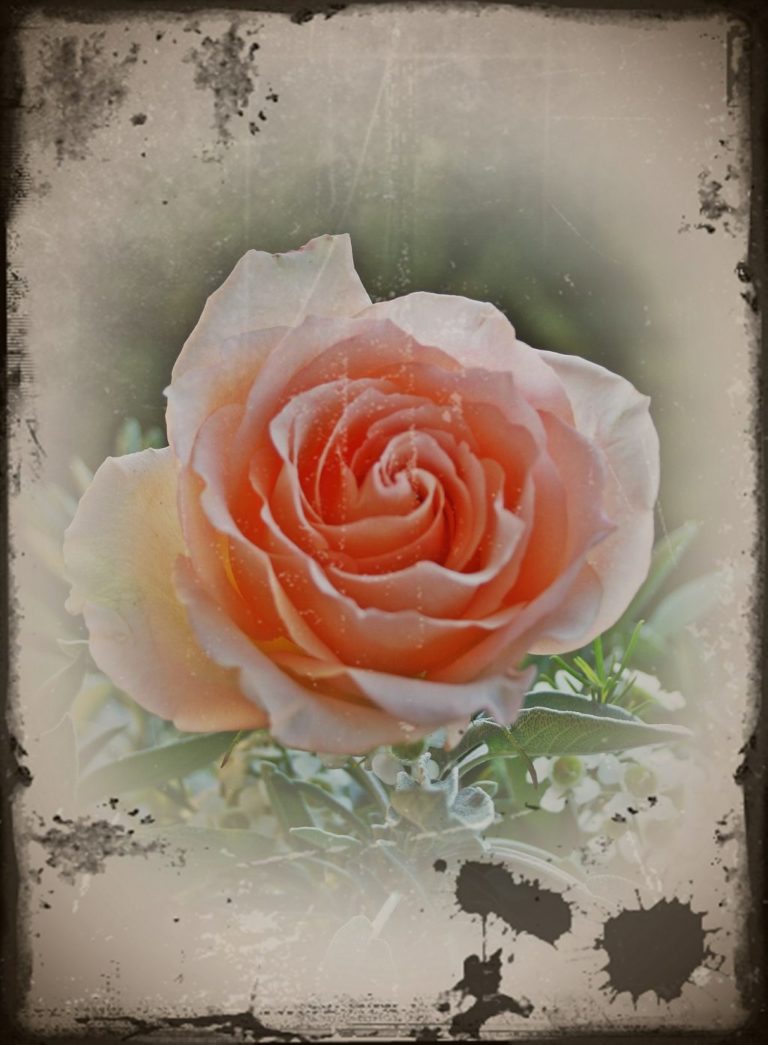 Poésie : comment s'articulent les strophes, les vers et les rimes